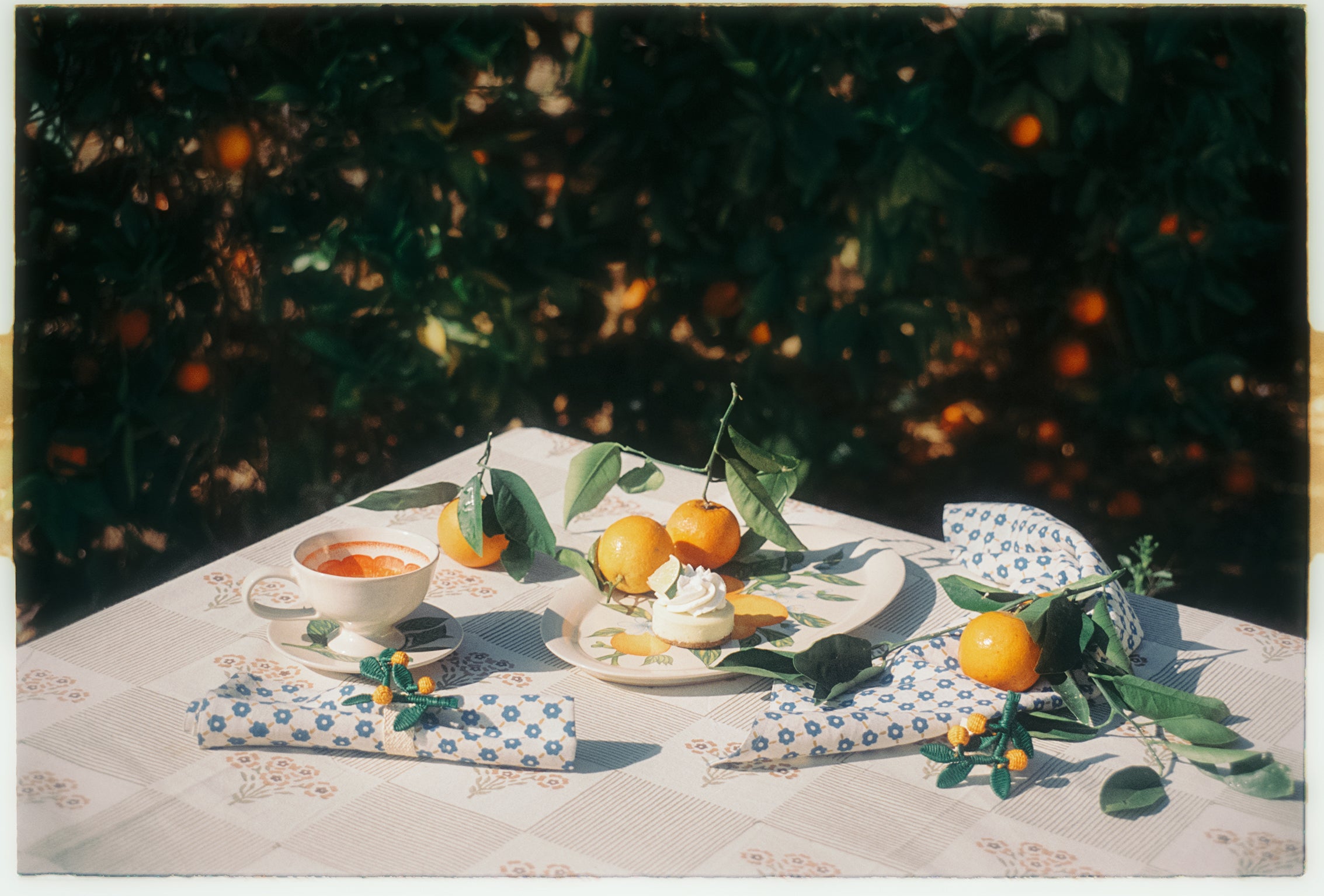 Shop All - Behnaia | Unique Collections